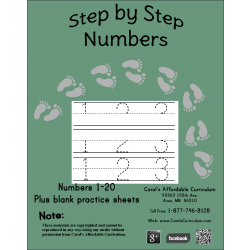 Shapes Step by Step: Carol's Affordable Curriculum Online store